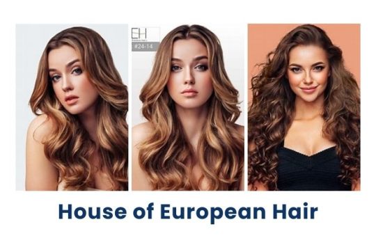 Top 10 Best European Hair Factory 2025 Updated