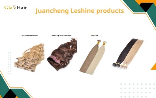 Top 10 best hair factories in China: Newest update in 2024